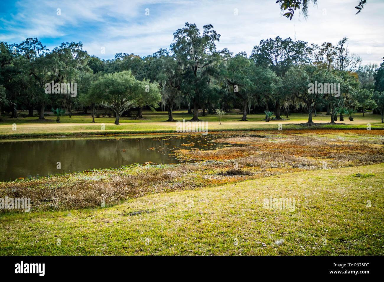 A scenic and peaceful view of the park at Avery Island, Louisiana Stock ...