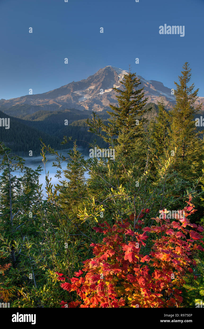 Mount rainier national park fall hi-res stock photography and images ...