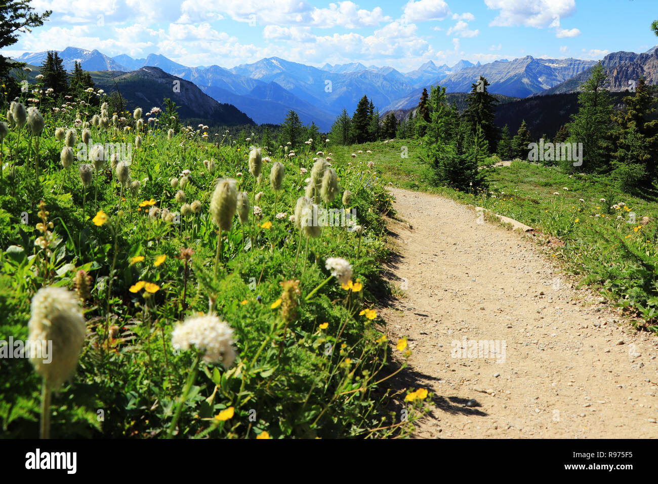 Sunshine village banff canada hi-res stock photography and images - Alamy