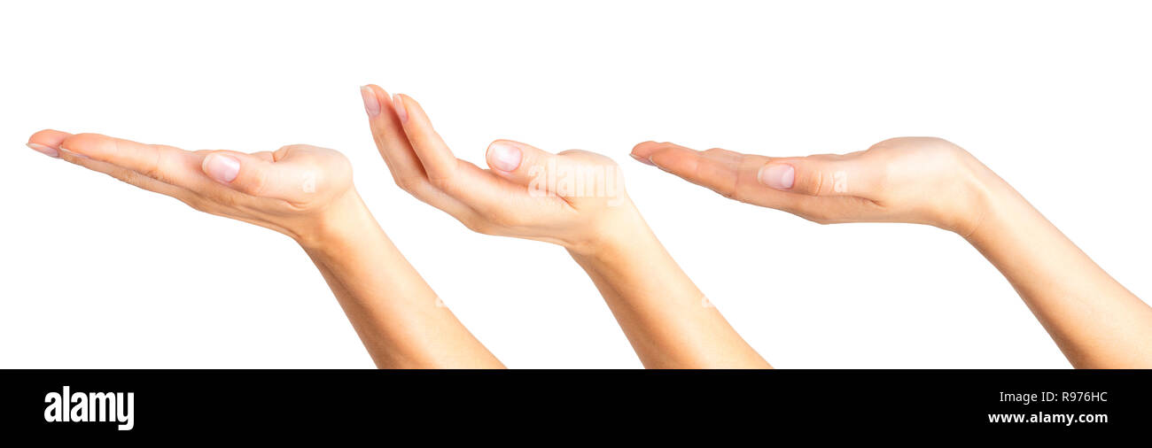 Set of women hands taking or showing something Stock Photo - Alamy