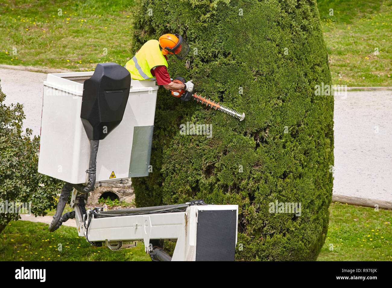 Equiped worker pruning a tree on a crane. Gardening works Stock Photo ...
