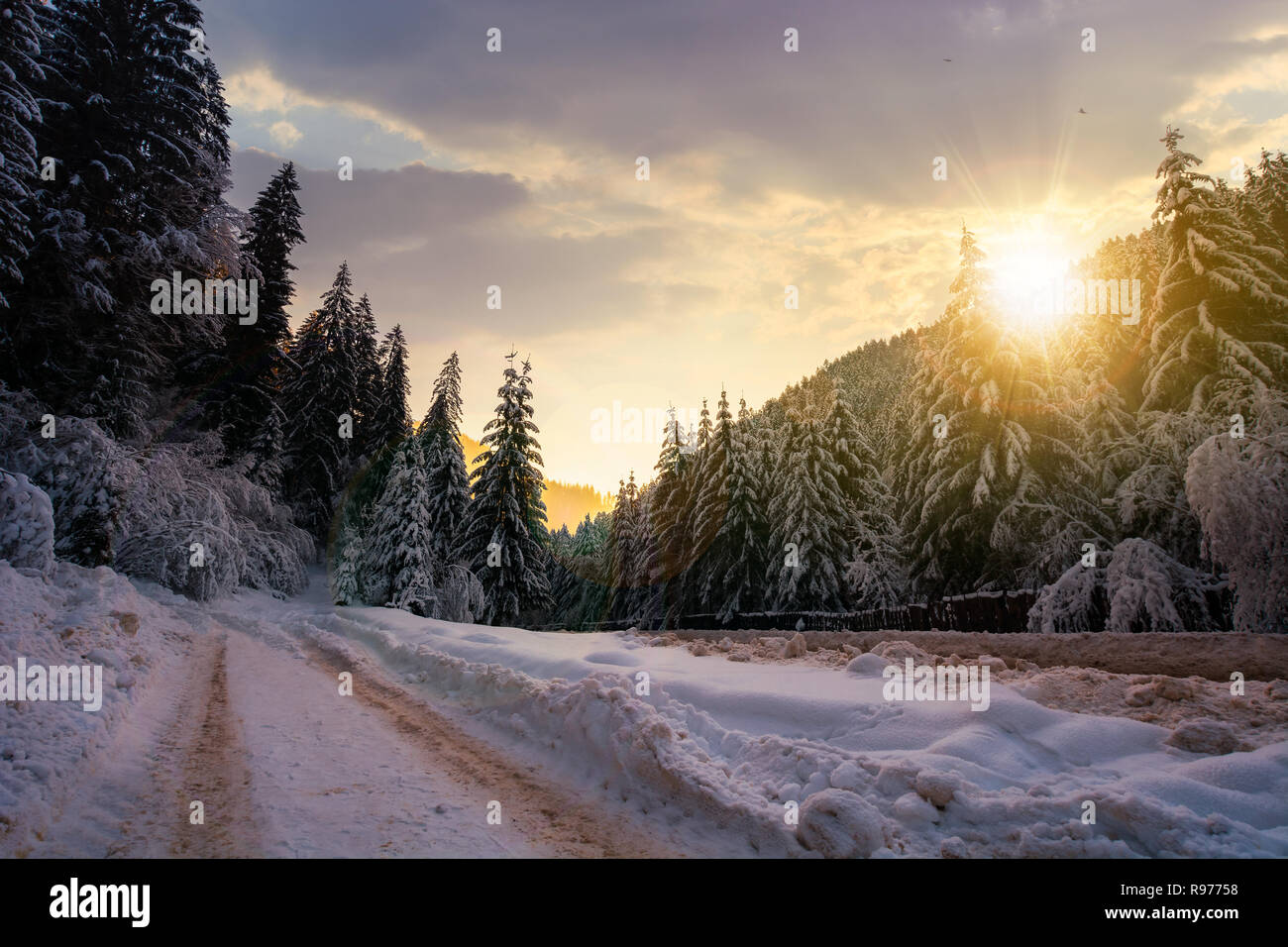 road in snow through winter forest at sunset. beautiful scenery in ...