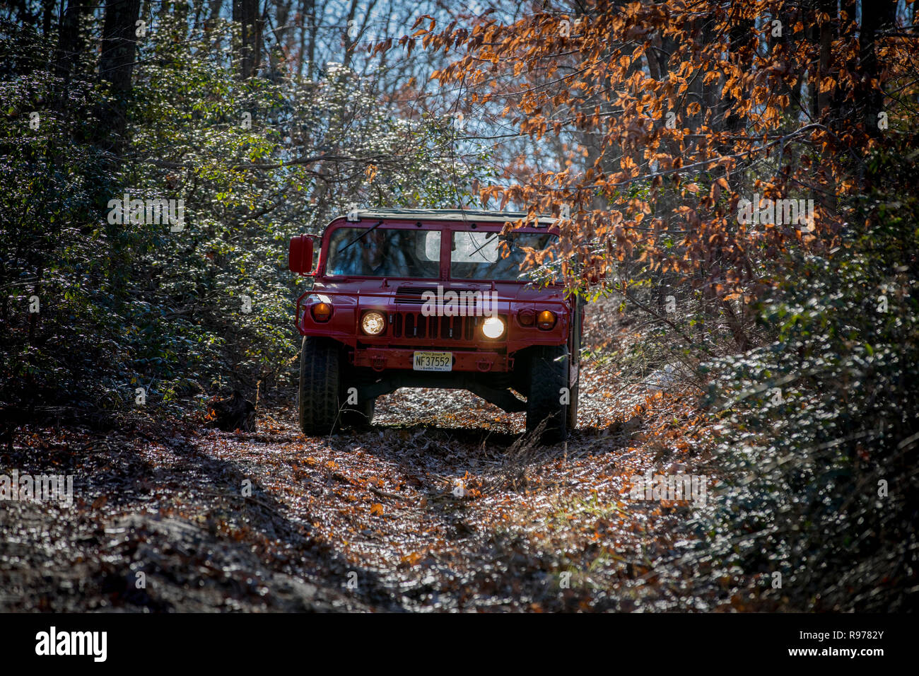 Leso hi-res stock photography and images - Alamy