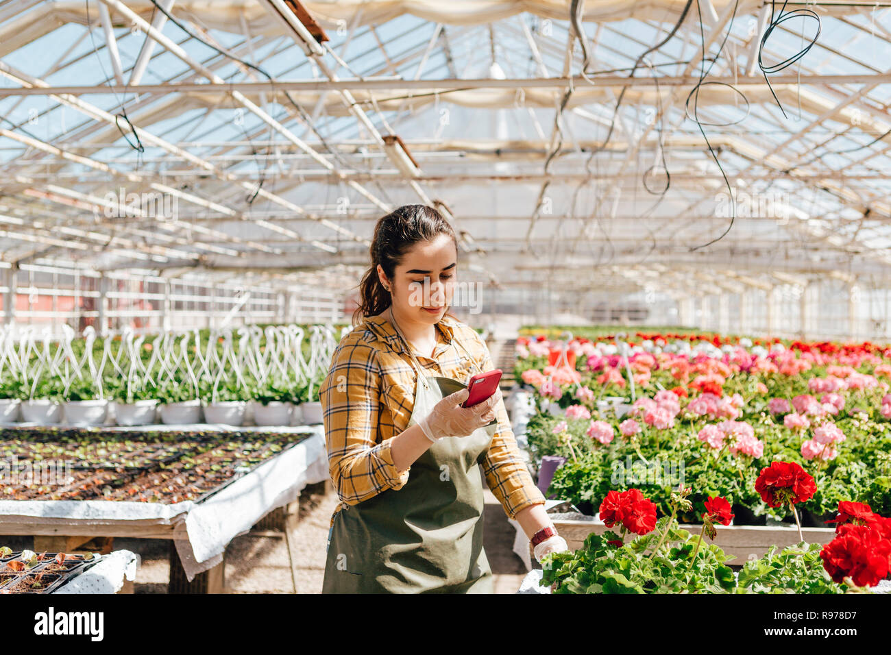 Smart worker hi-res stock photography and images - Alamy