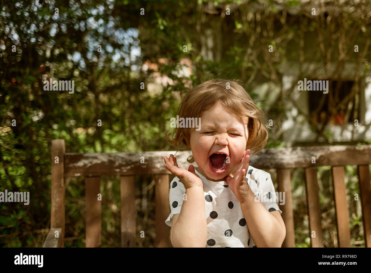 In a dark backyard hi-res stock photography and images - Alamy