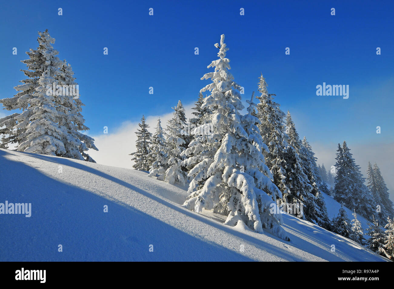 Laber hi-res stock photography and images - Alamy