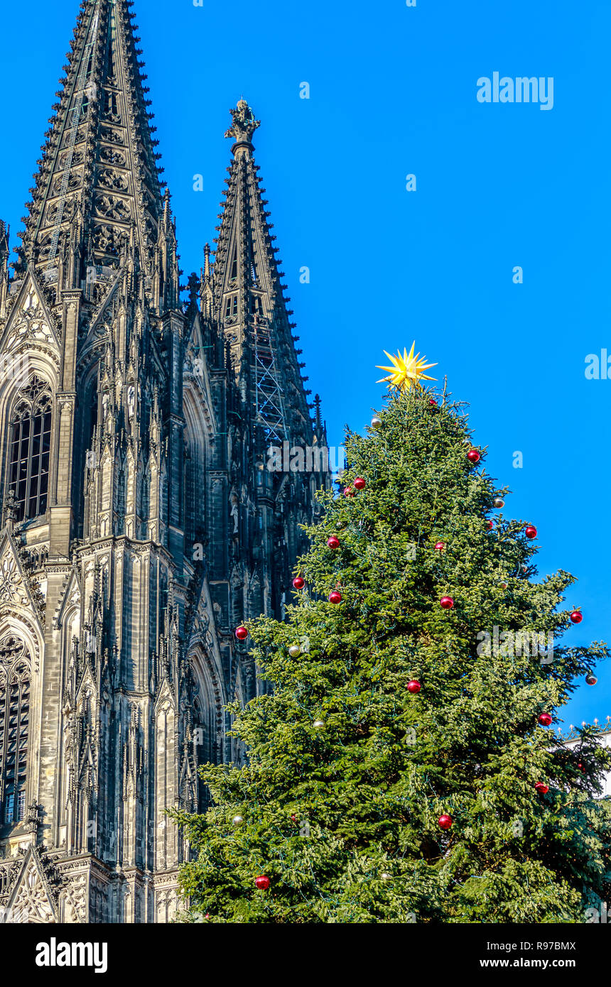 Huge Christmas tree at famous Cologne Cathedral, Germany Stock Photo ...