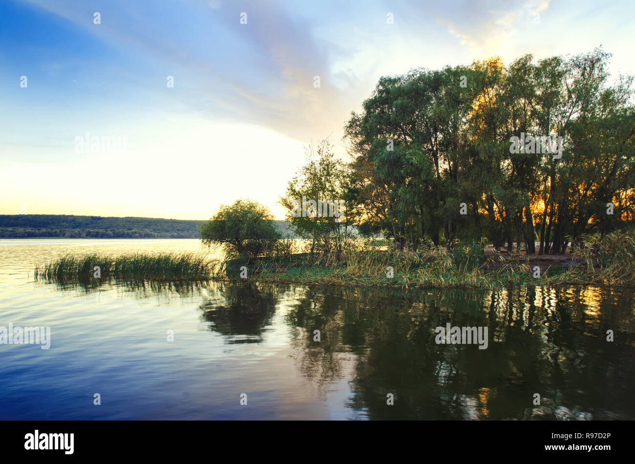 beautiful lake with bulrush and trees Stock Photo - Alamy
