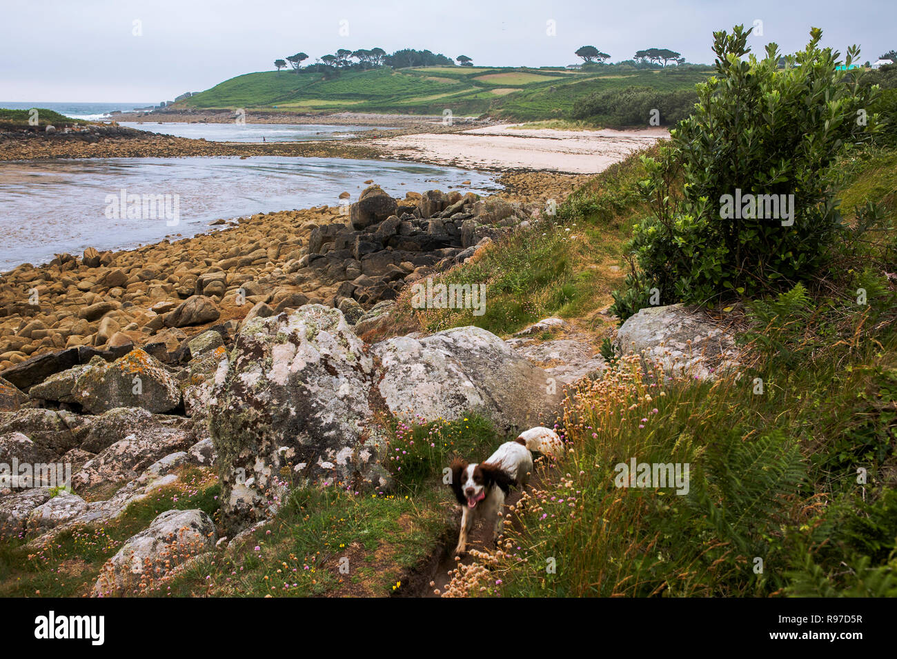 Pelistry Bay, St. Mary's, Isles of Scilly, England, UK Stock Photo - Alamy