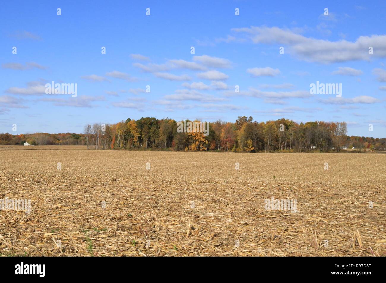 Farm field after harvest season Stock Photo - Alamy