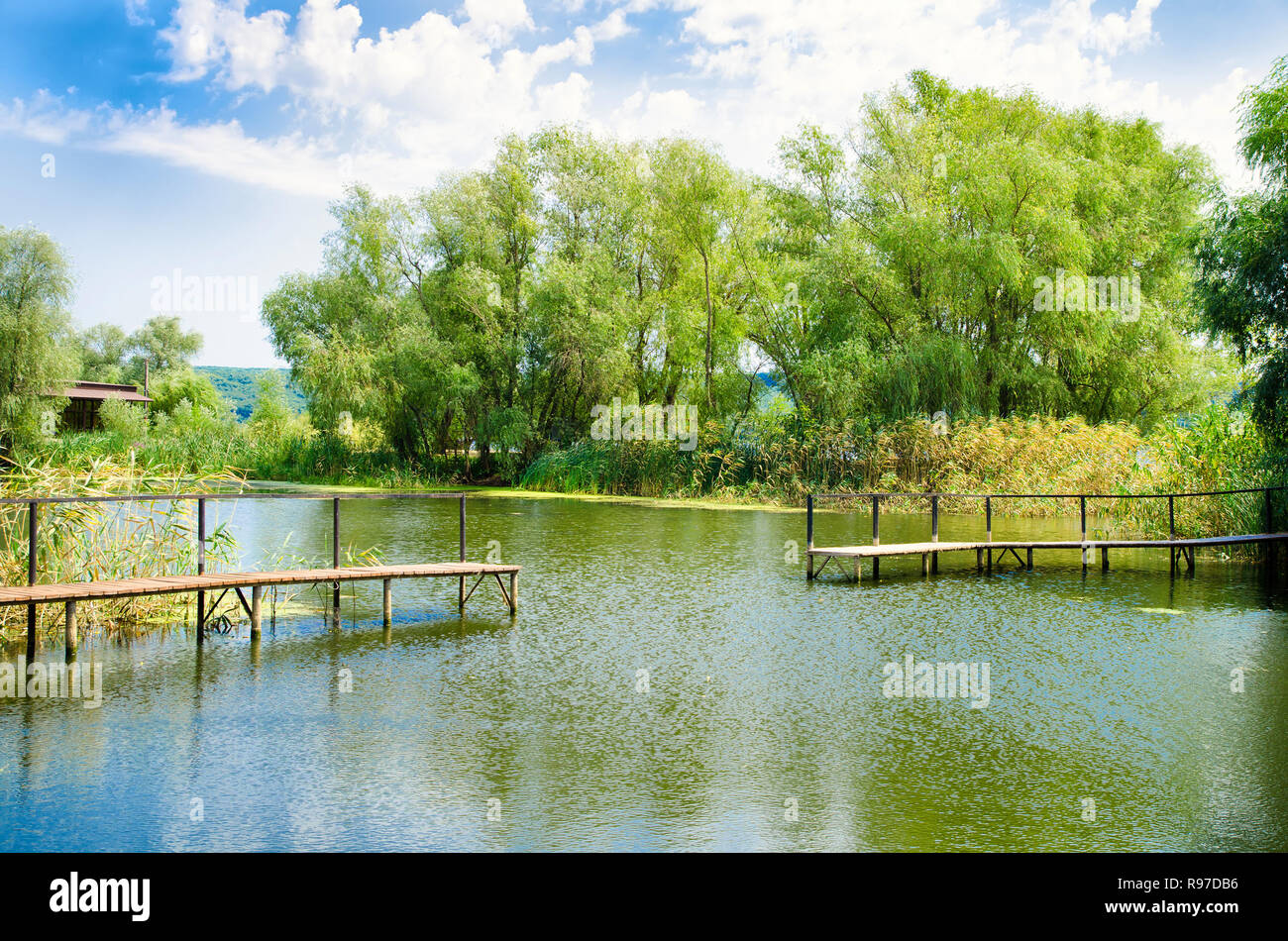 Beautiful pond hi-res stock photography and images - Alamy