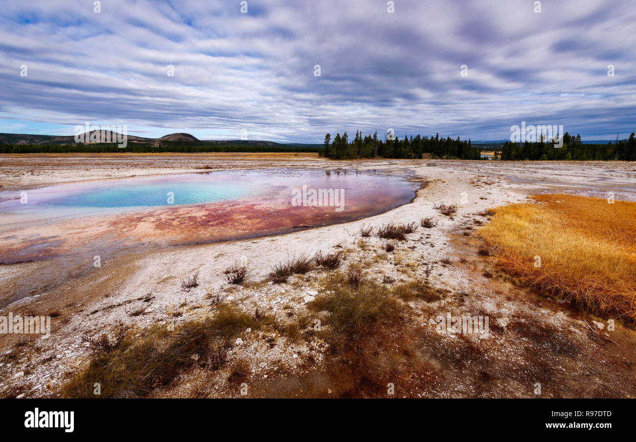 Grand Prismatic Spring, Yellowstone National Park, Wyoming USA Stock ...