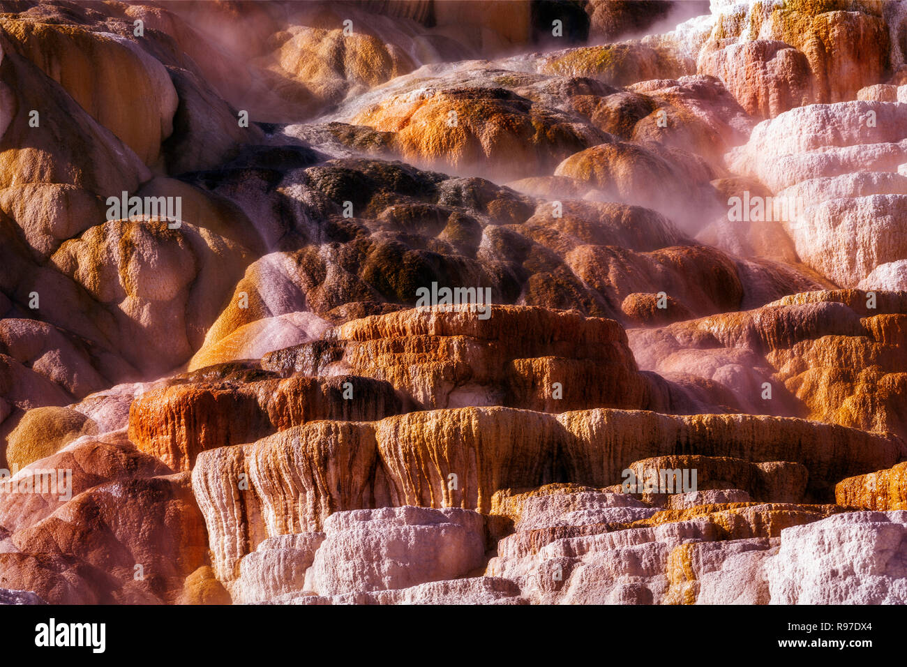 Mammoth Hot Springs, Yellowstone National Park, Wyoming USA Stock Photo ...