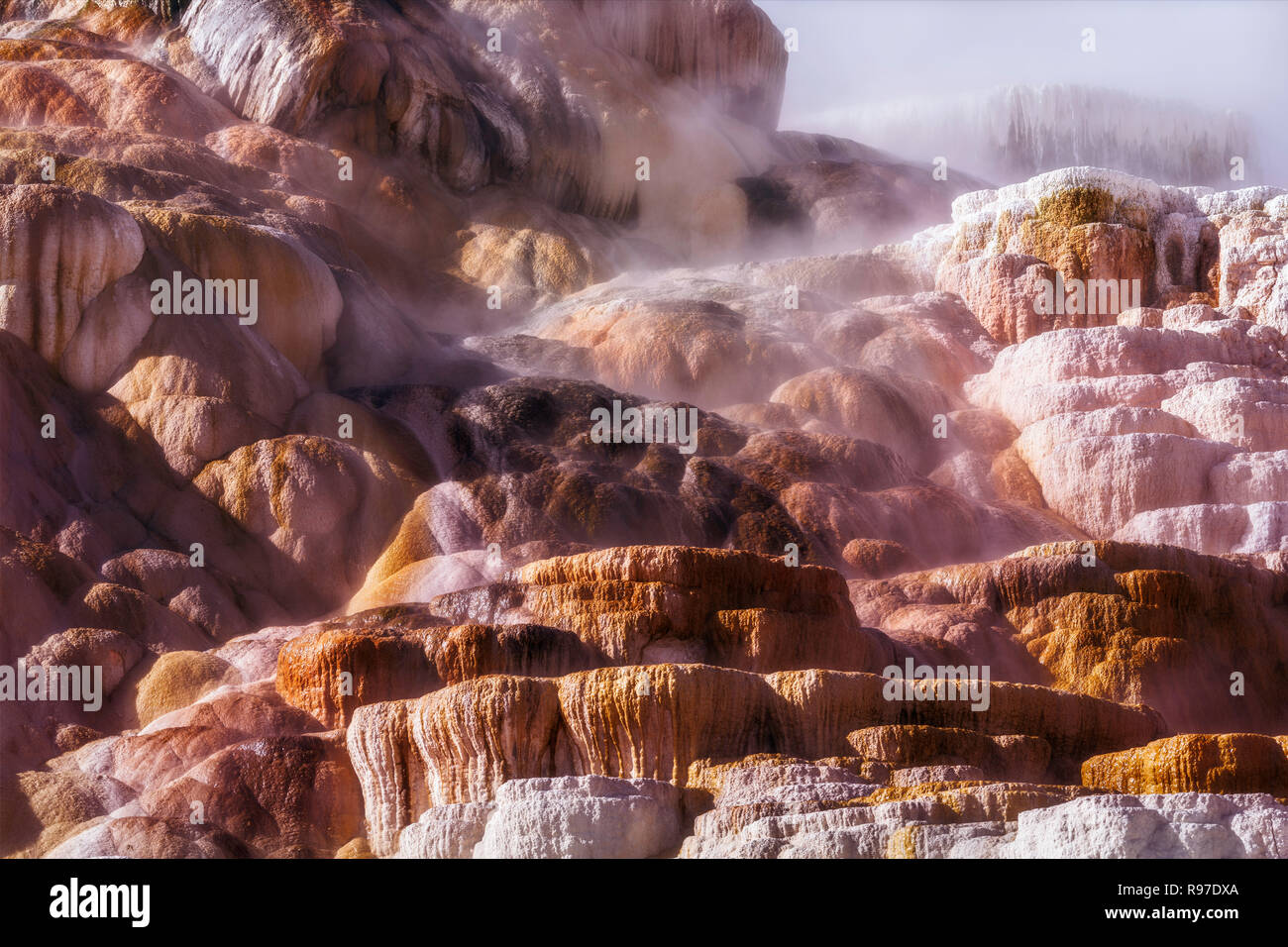 Mammoth Hot Springs, Yellowstone National Park, Wyoming USA Stock Photo ...