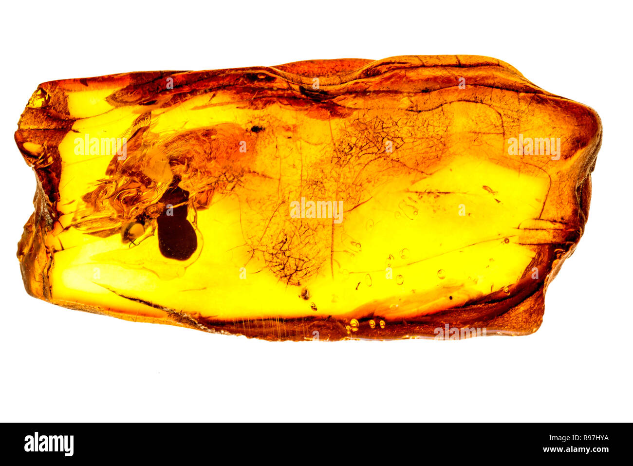 Big amber Cut Out Stock Images & Pictures - Alamy