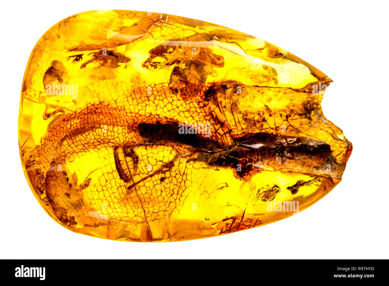 Inclusions in amber Cut Out Stock Images & Pictures - Alamy