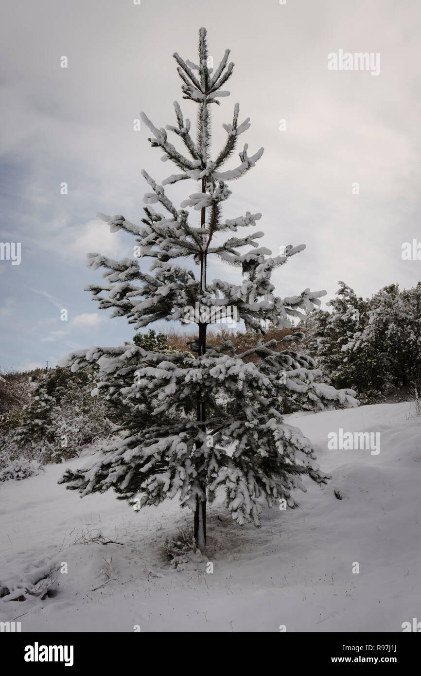 Winter Season in Esquel, Chubut, Patagonia, Argentina Stock Photo - Alamy