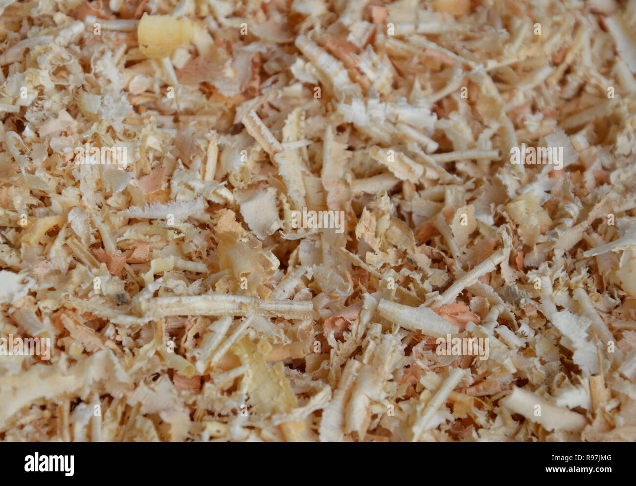 close up of sawdust texture and background Stock Photo - Alamy