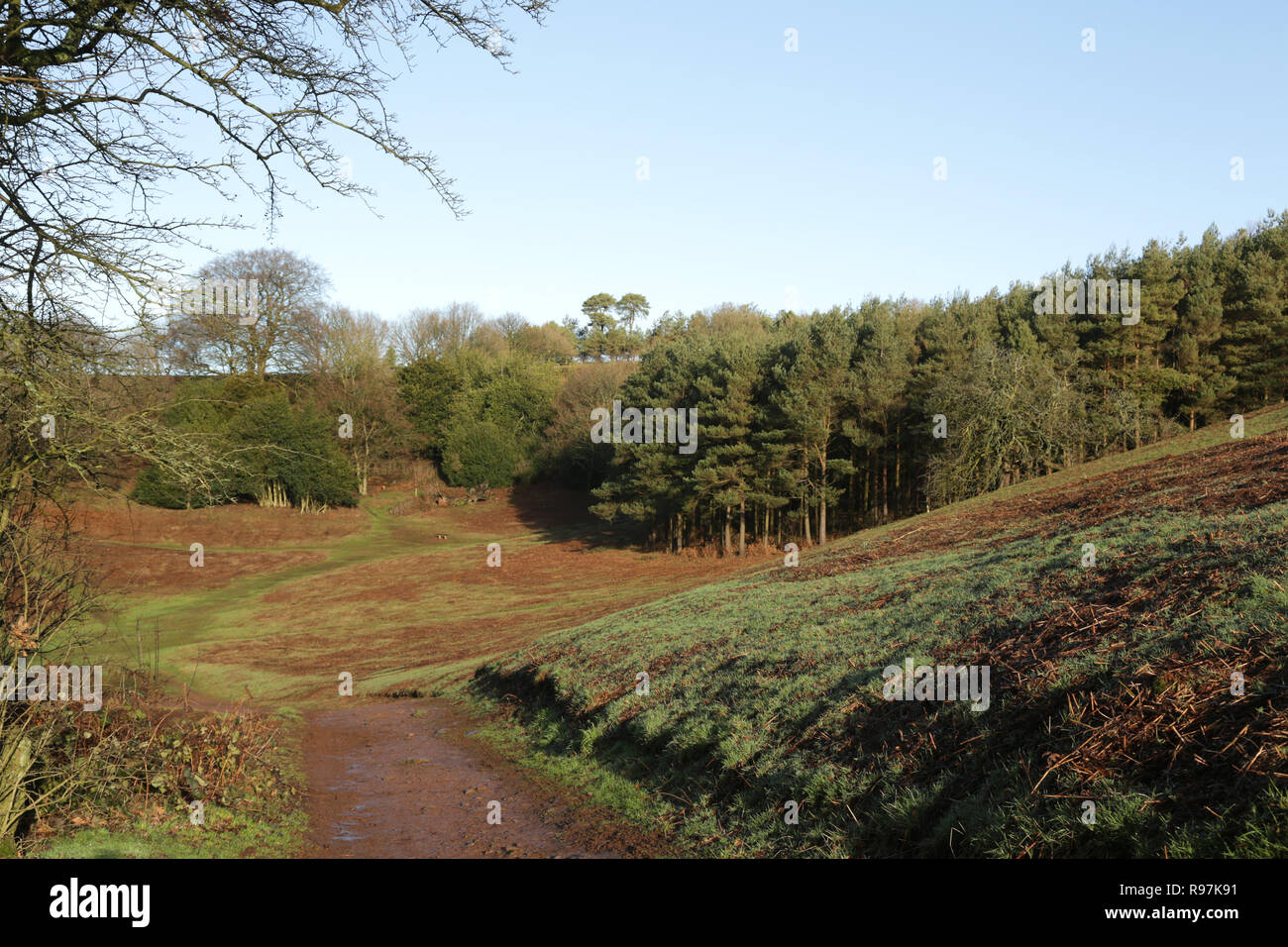 Clent hills winter hi-res stock photography and images - Alamy
