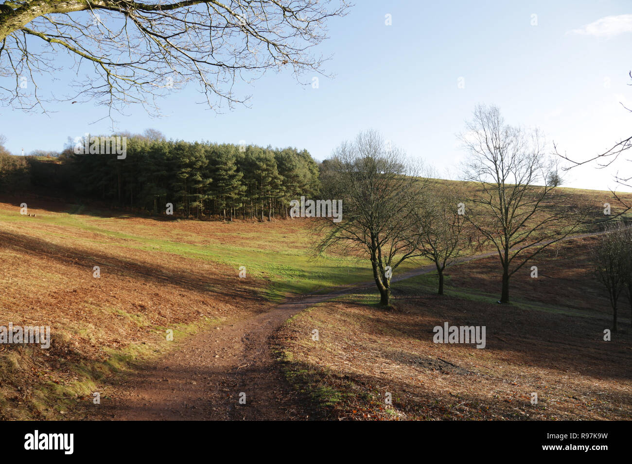 Clent hills winter hi-res stock photography and images - Alamy