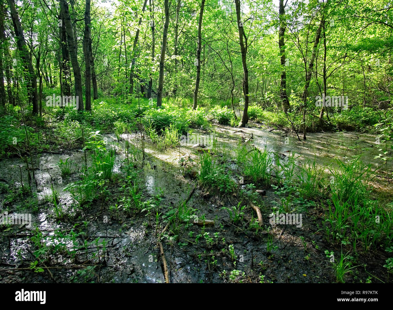 Spring flood in moscow hi-res stock photography and images - Alamy