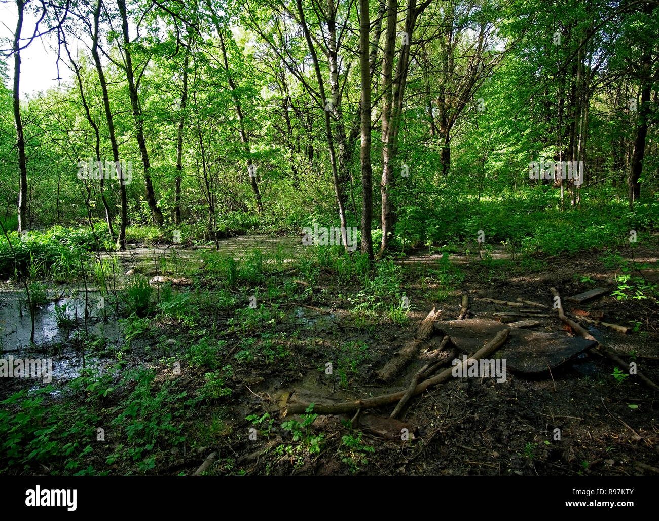 Spring flood in moscow hi-res stock photography and images - Alamy