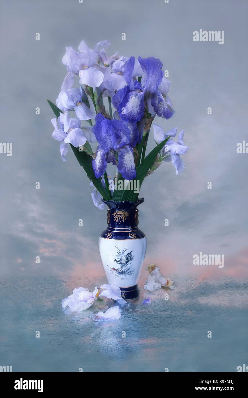 Still life with iris flowers Stock Photo - Alamy