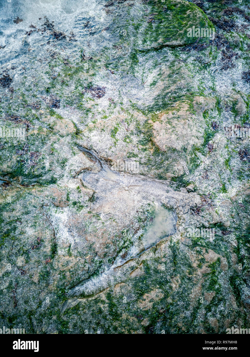 An corran scotland dinosaur hi-res stock photography and images - Alamy