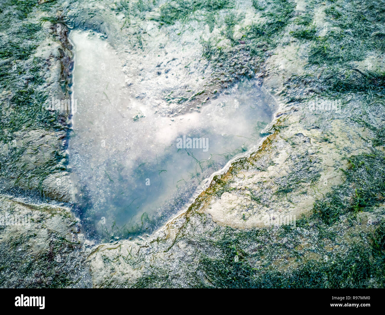 The famous Dinosaur footprints at An Corran beach by Staffin on the ...