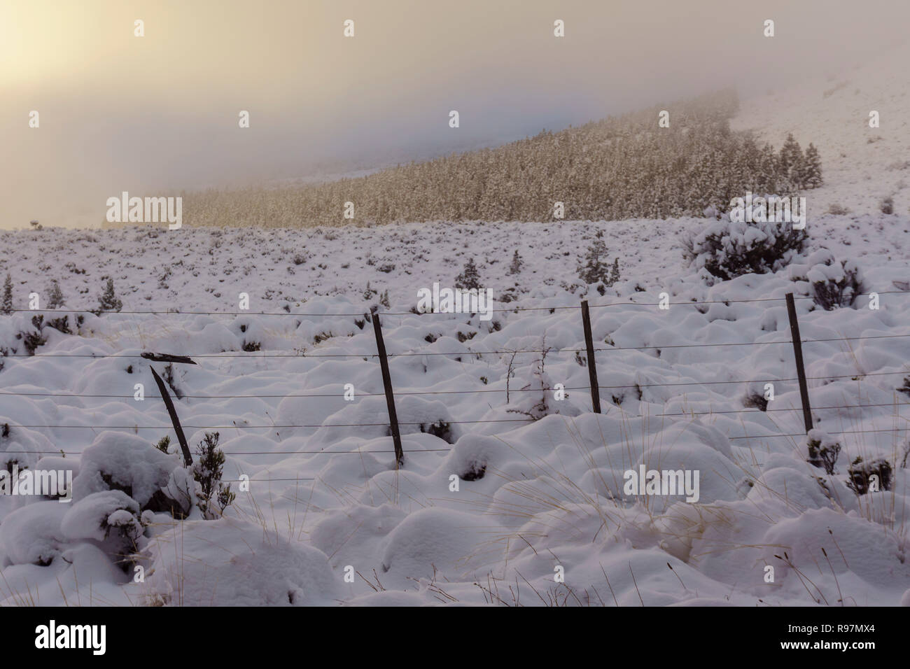 Winter Season in Esquel, Chubut, Patagonia, Argentina Stock Photo - Alamy