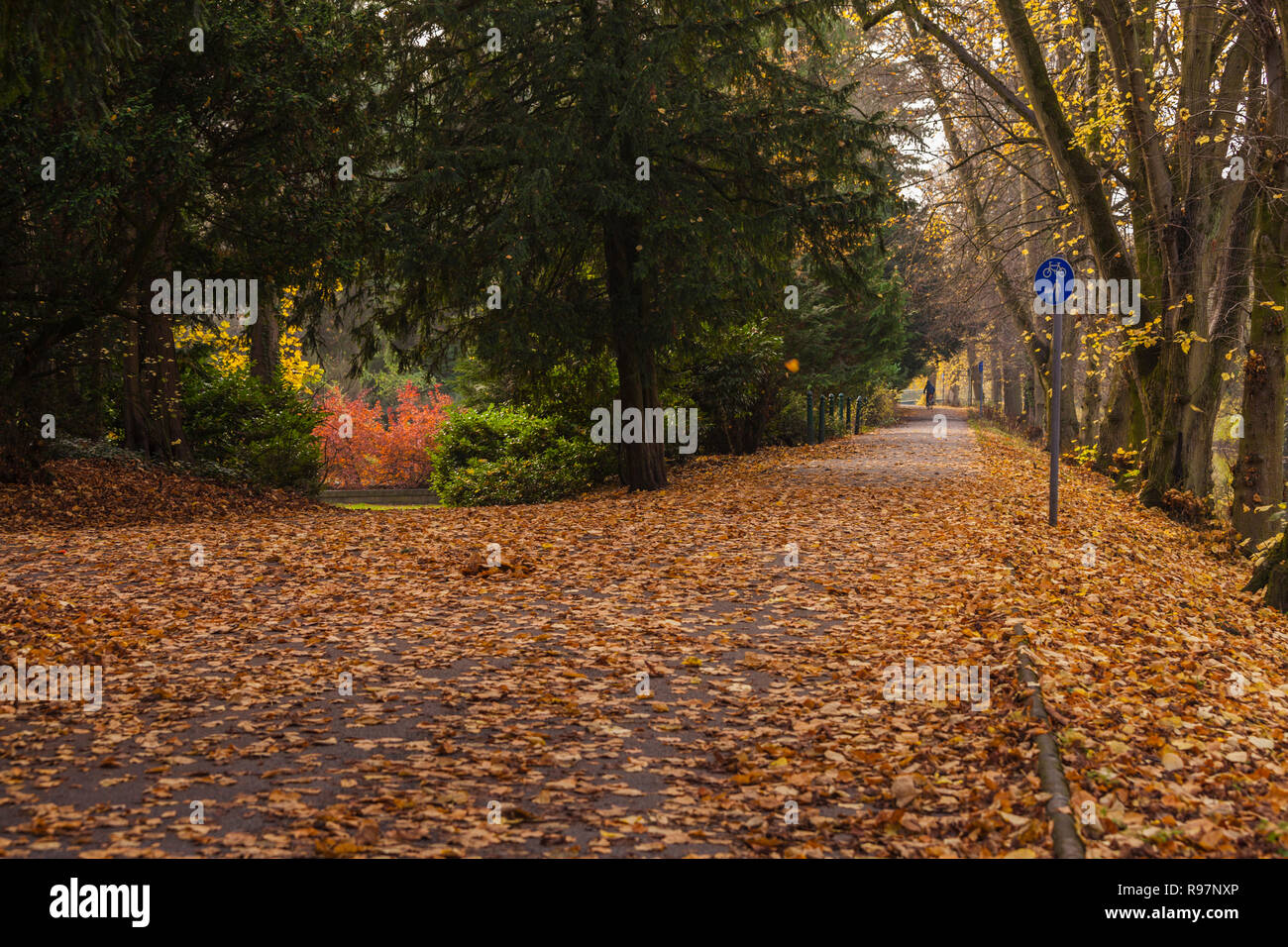 A scenic view of the South Park,Darlington,England,UK with the ...