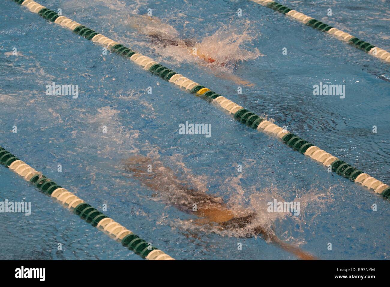 Start of a swimming race Stock Photo - Alamy