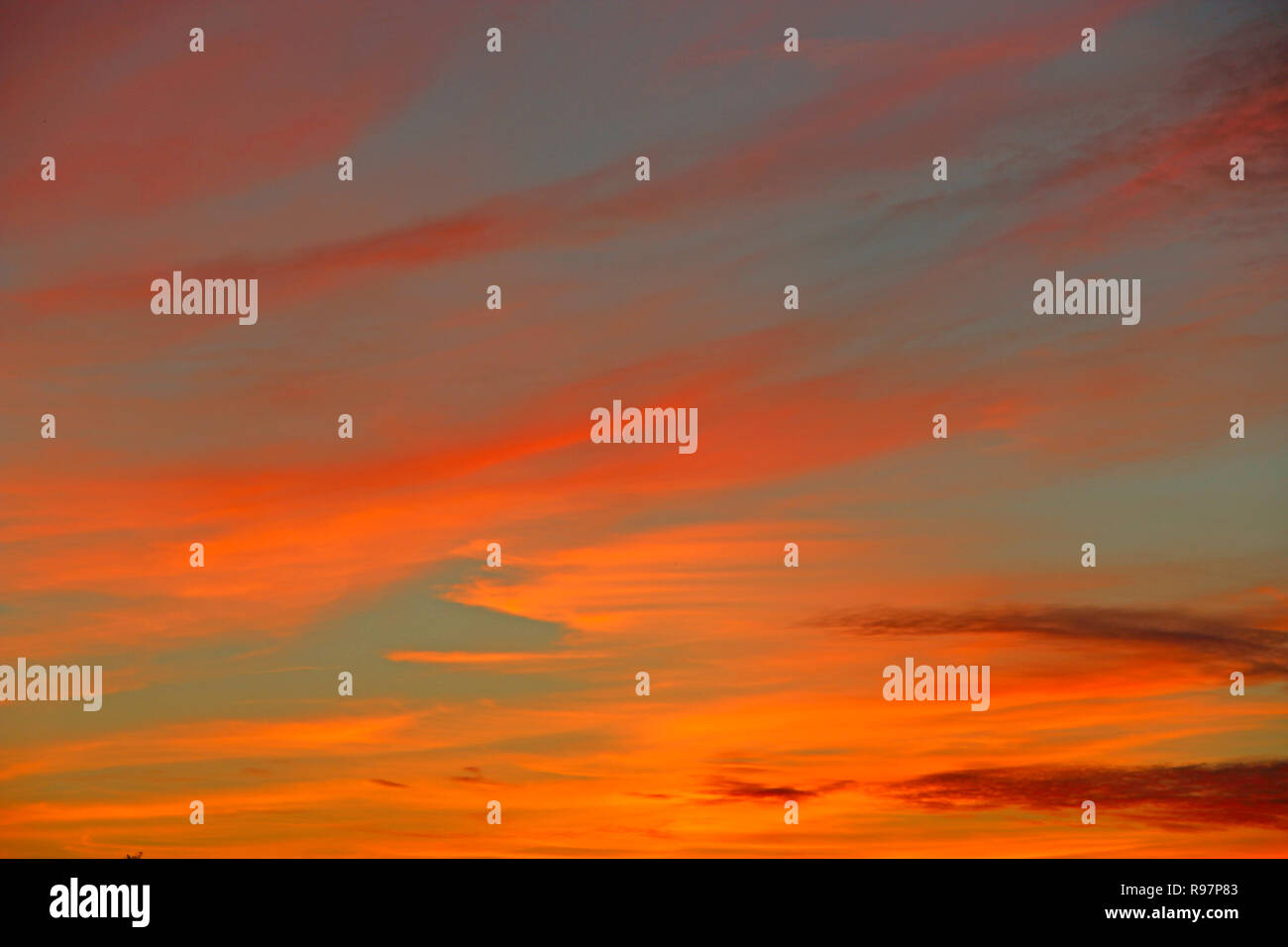 Orange sunset before night. Orange sky at sunset. Twilight with bright ...