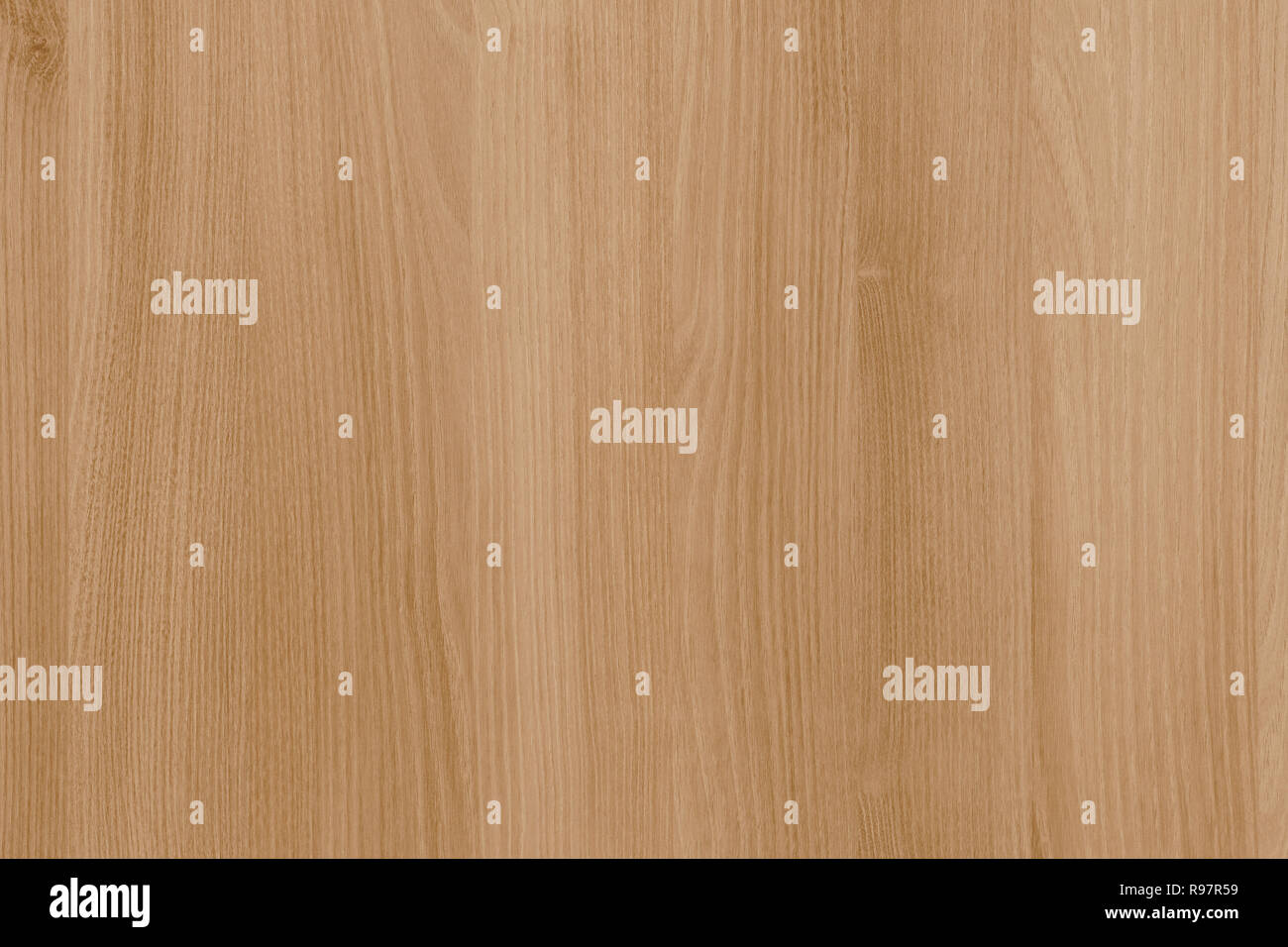 acacia timber tree wooden surface wallpaper structure texture ...