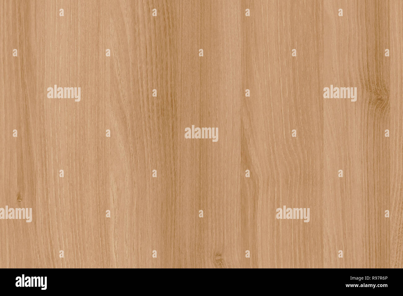 acacia timber tree wooden surface wallpaper structure texture ...