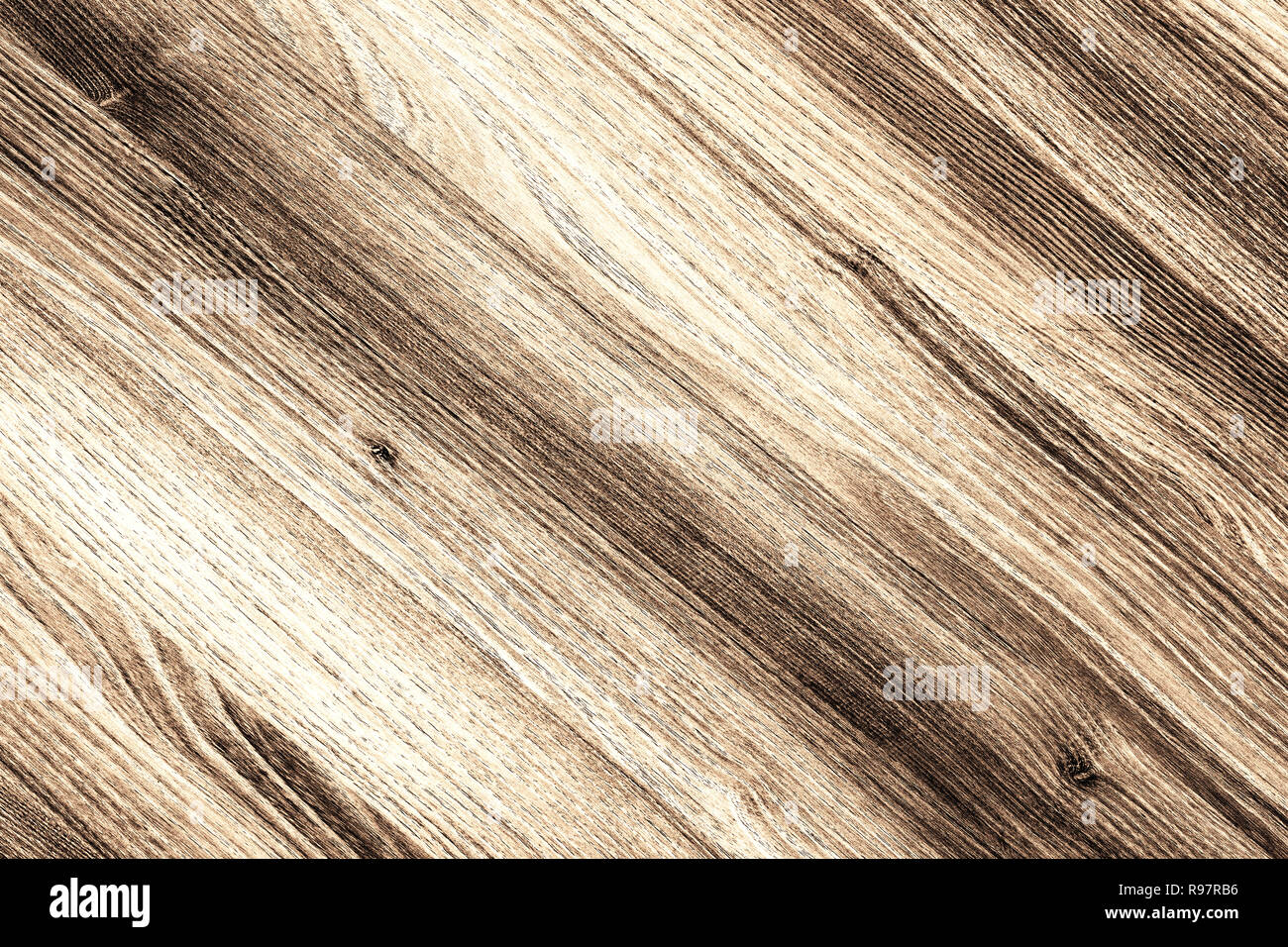acacia timber tree wooden surface wallpaper structure texture ...