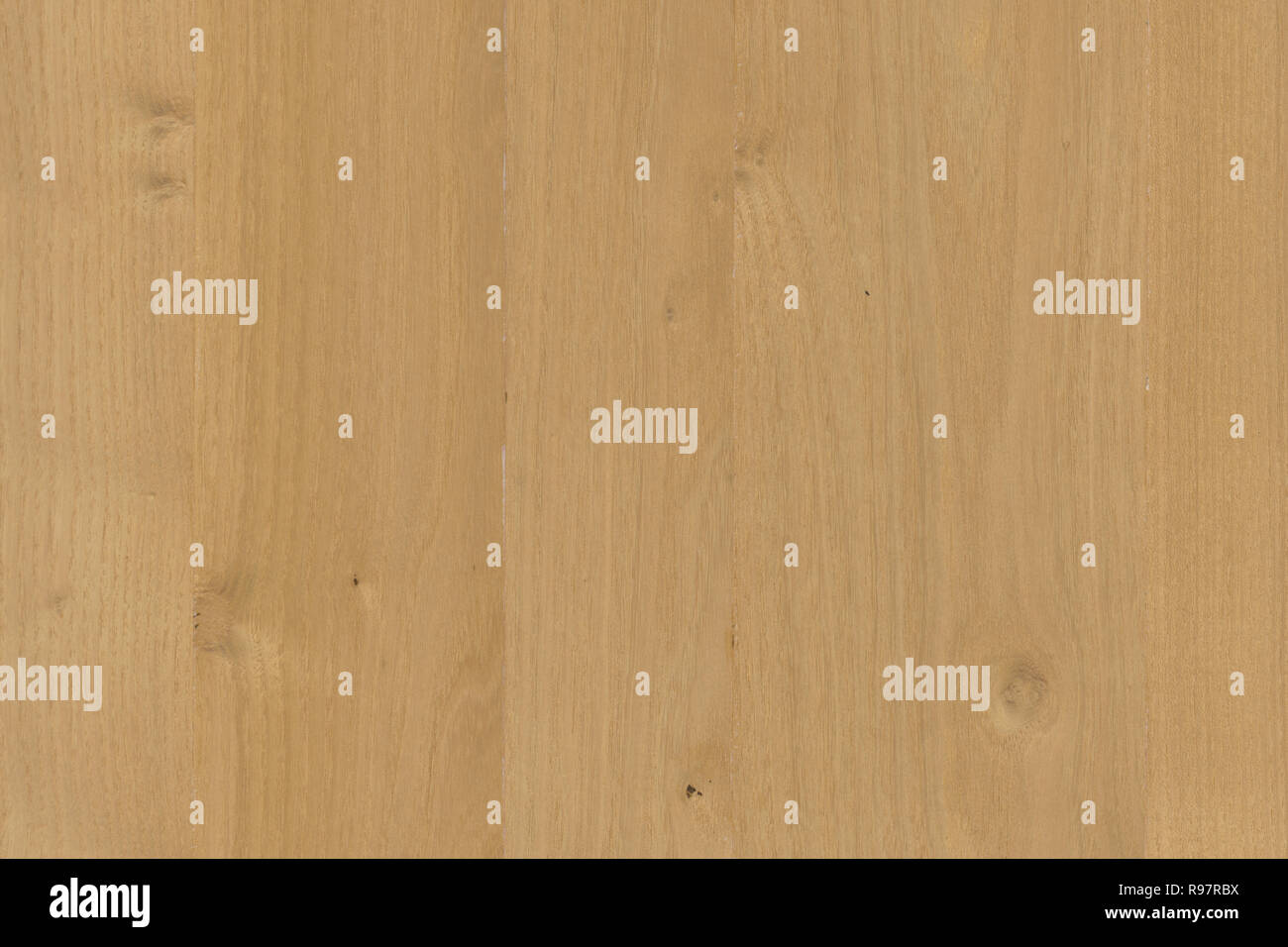 acacia timber tree wooden surface wallpaper structure texture ...