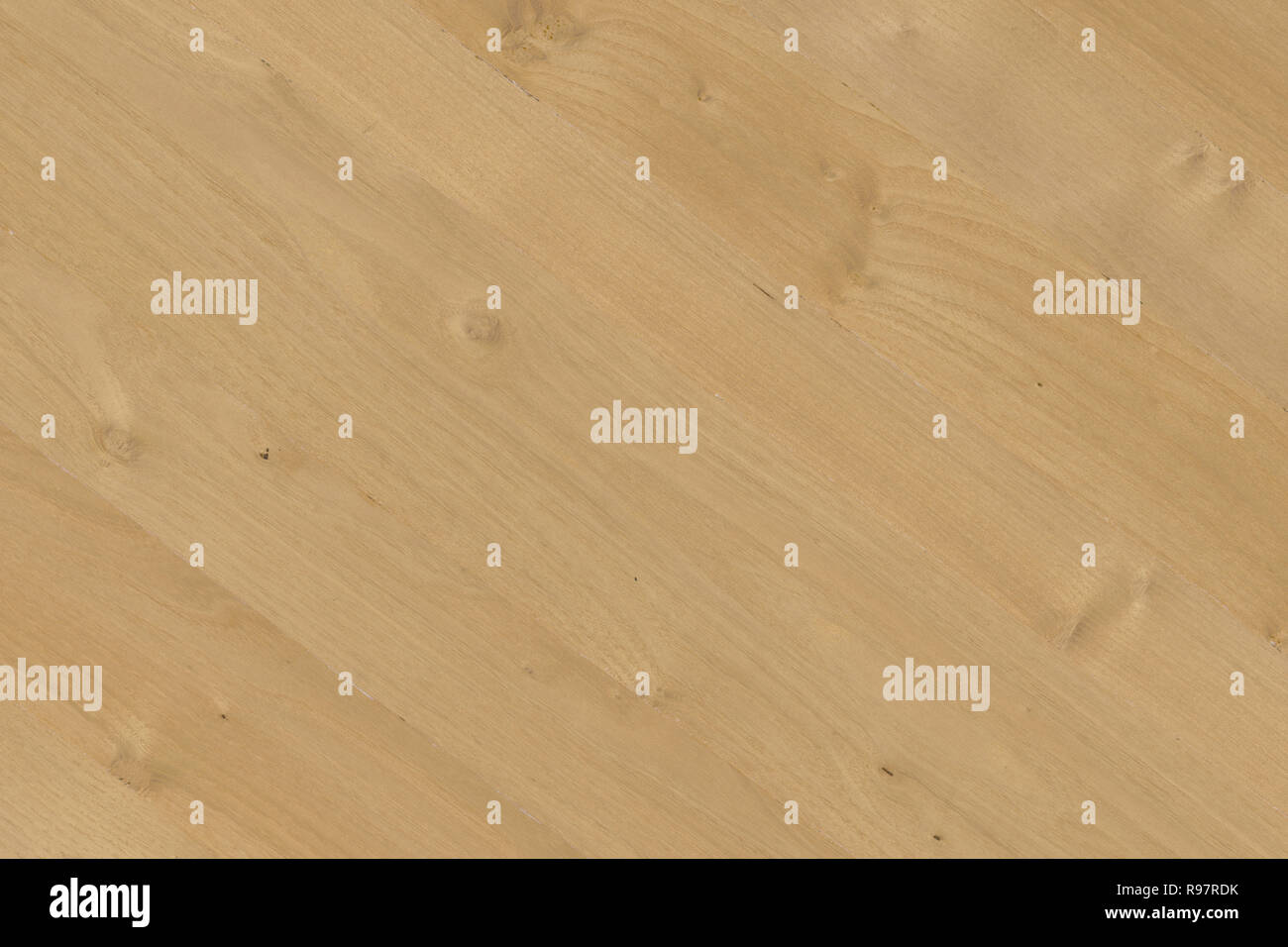 acacia timber tree wooden surface wallpaper structure texture ...