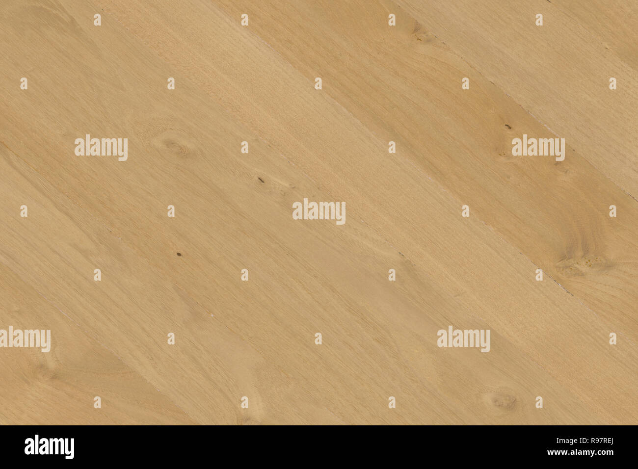 acacia timber tree wooden surface wallpaper structure texture ...