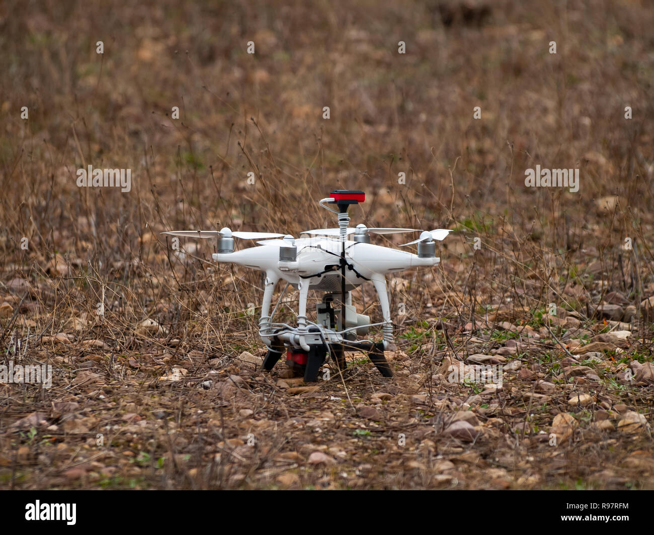 A drone on the ground in a forest in autumn Stock Photo - Alamy