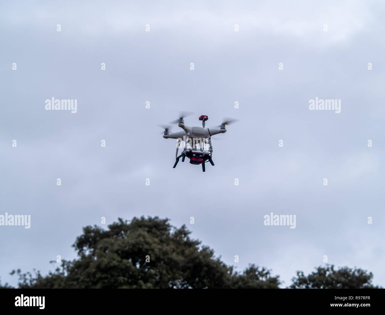 A drone in motion flying in forest in the cloudy sky and trees near ...