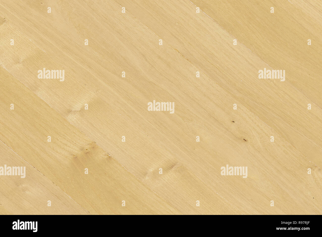 acacia timber tree wooden surface wallpaper structure texture ...