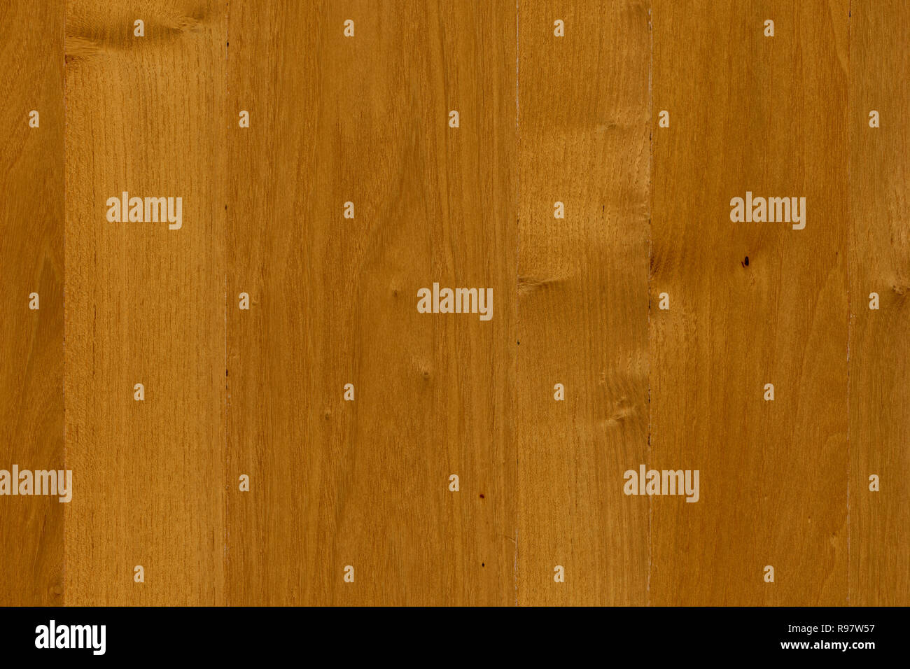 acacia timber tree wooden surface wallpaper structure texture ...
