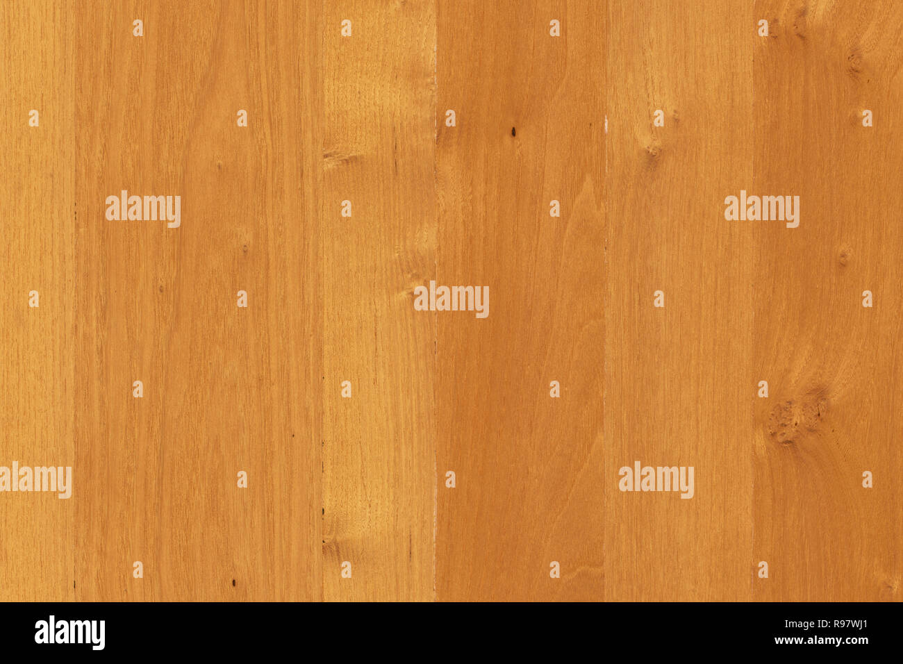 acacia timber tree wooden surface wallpaper structure texture ...