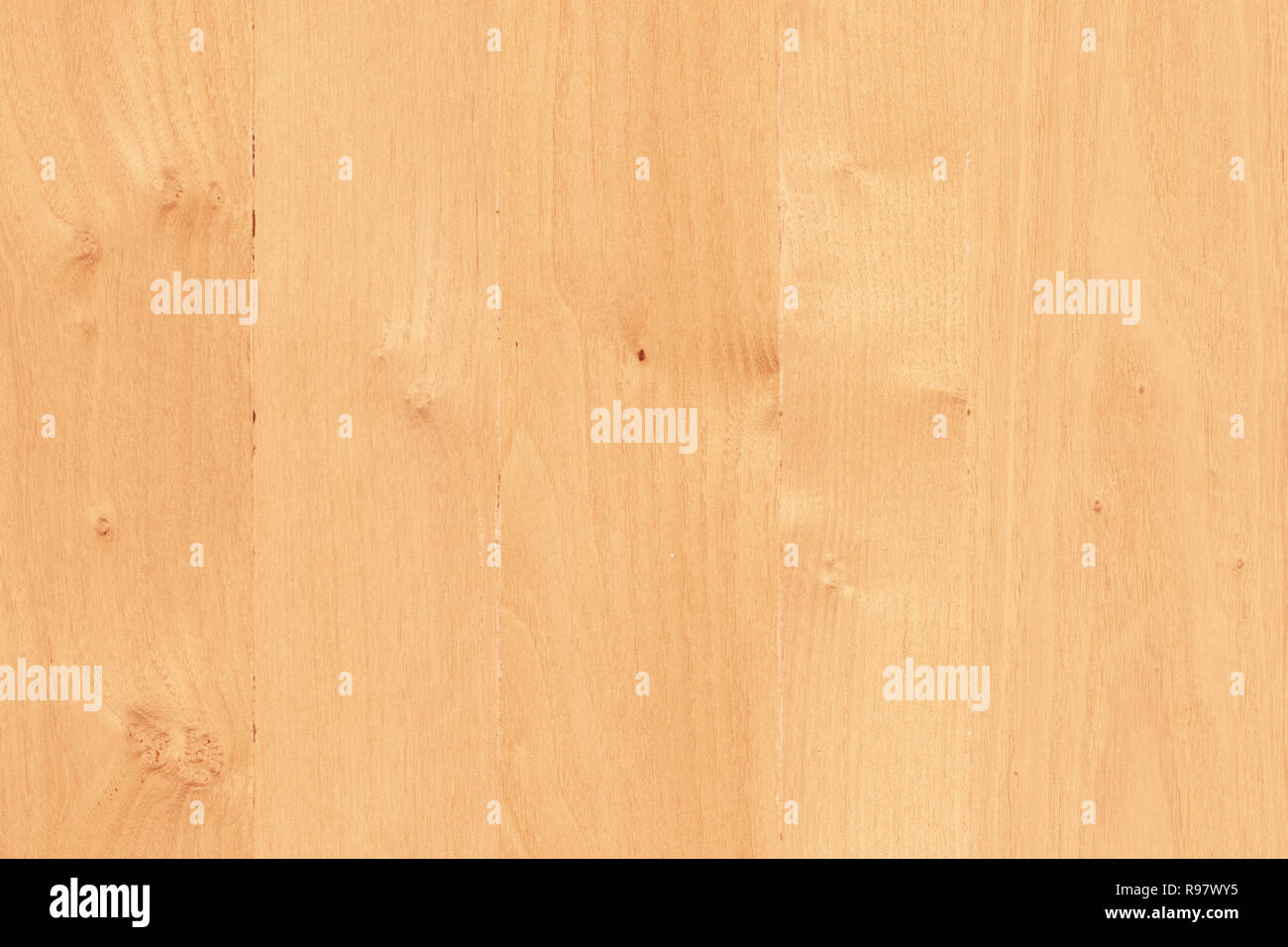 acacia timber tree wooden surface wallpaper structure texture ...