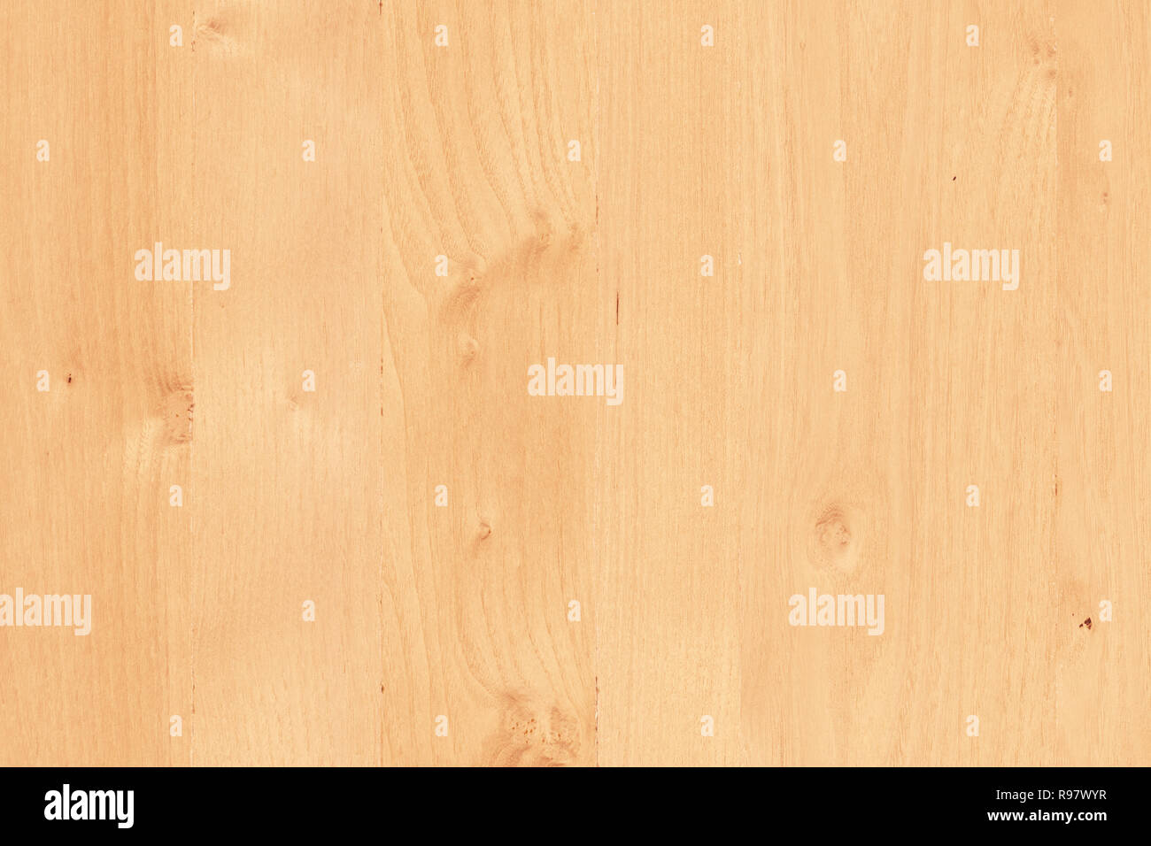 acacia timber tree wooden surface wallpaper structure texture ...