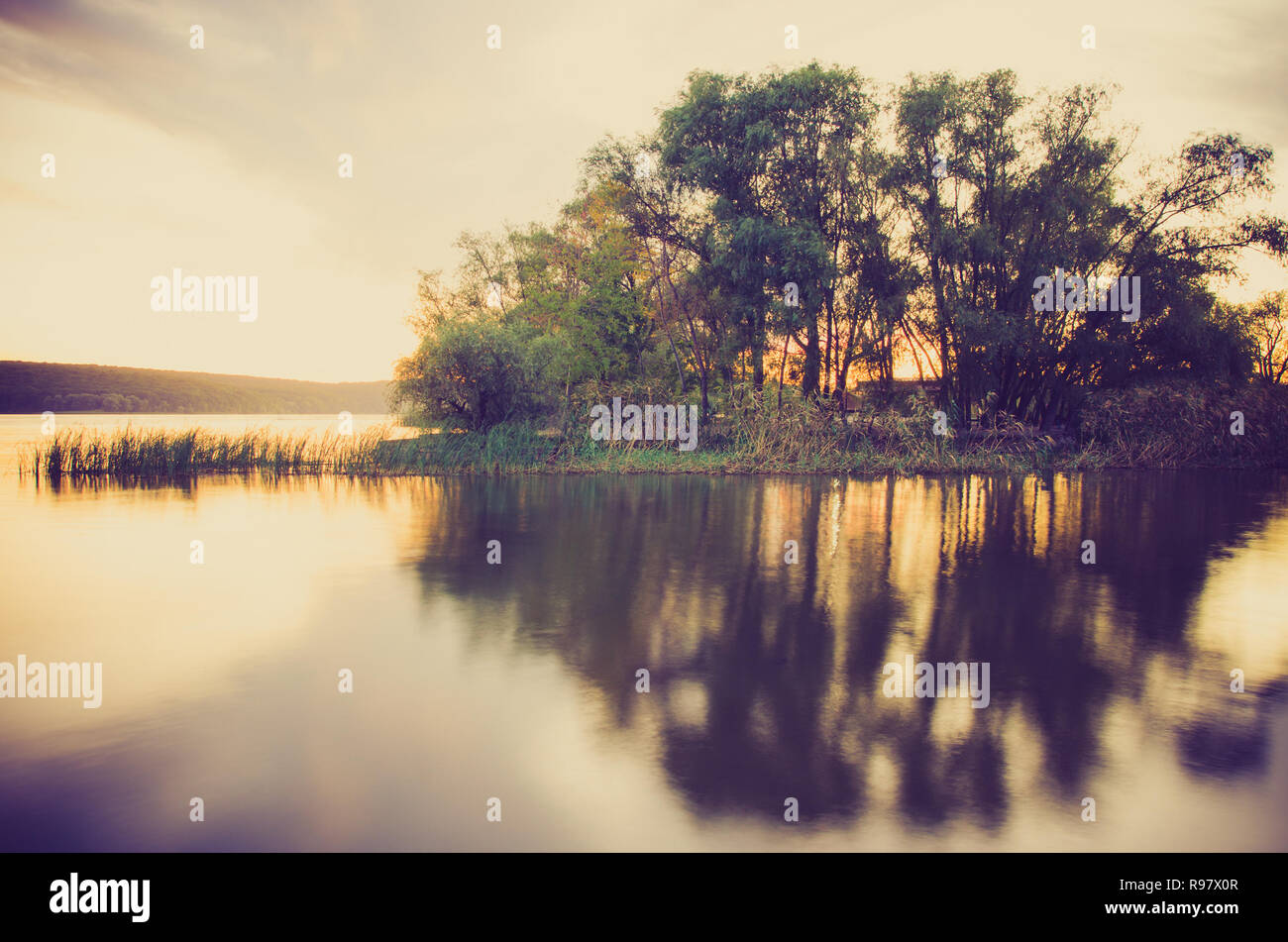 beautiful lake with bulrush and trees Stock Photo - Alamy