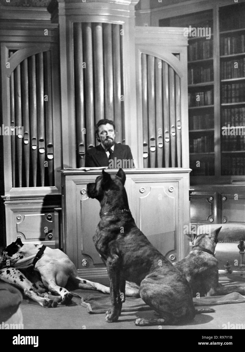 Bluebeard richard burton hi-res stock photography and images - Alamy