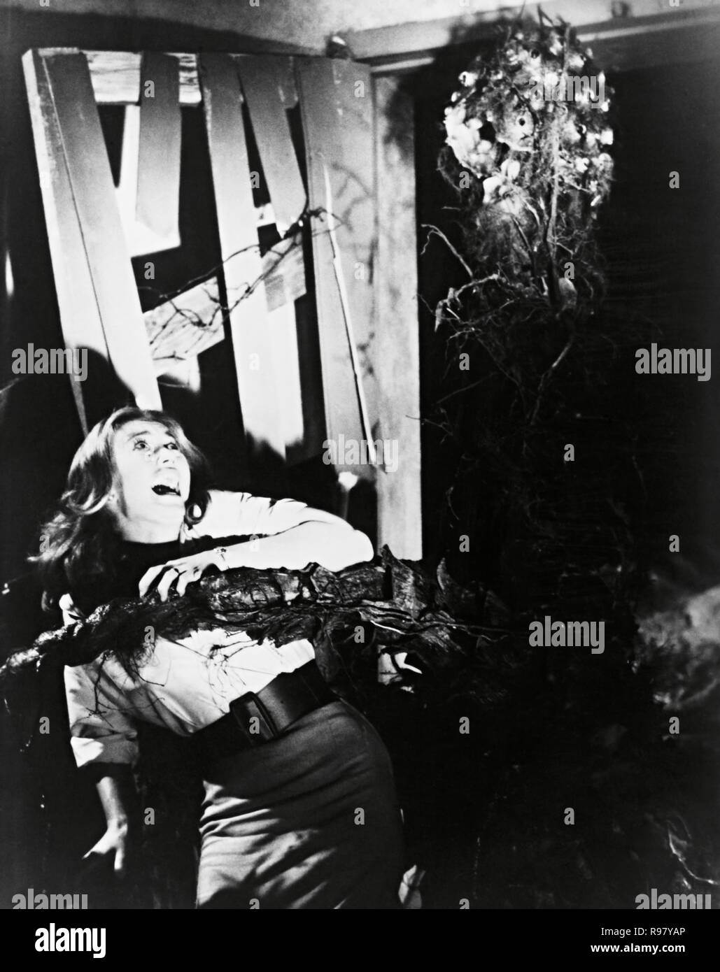 Triffids hi-res stock photography and images - Alamy