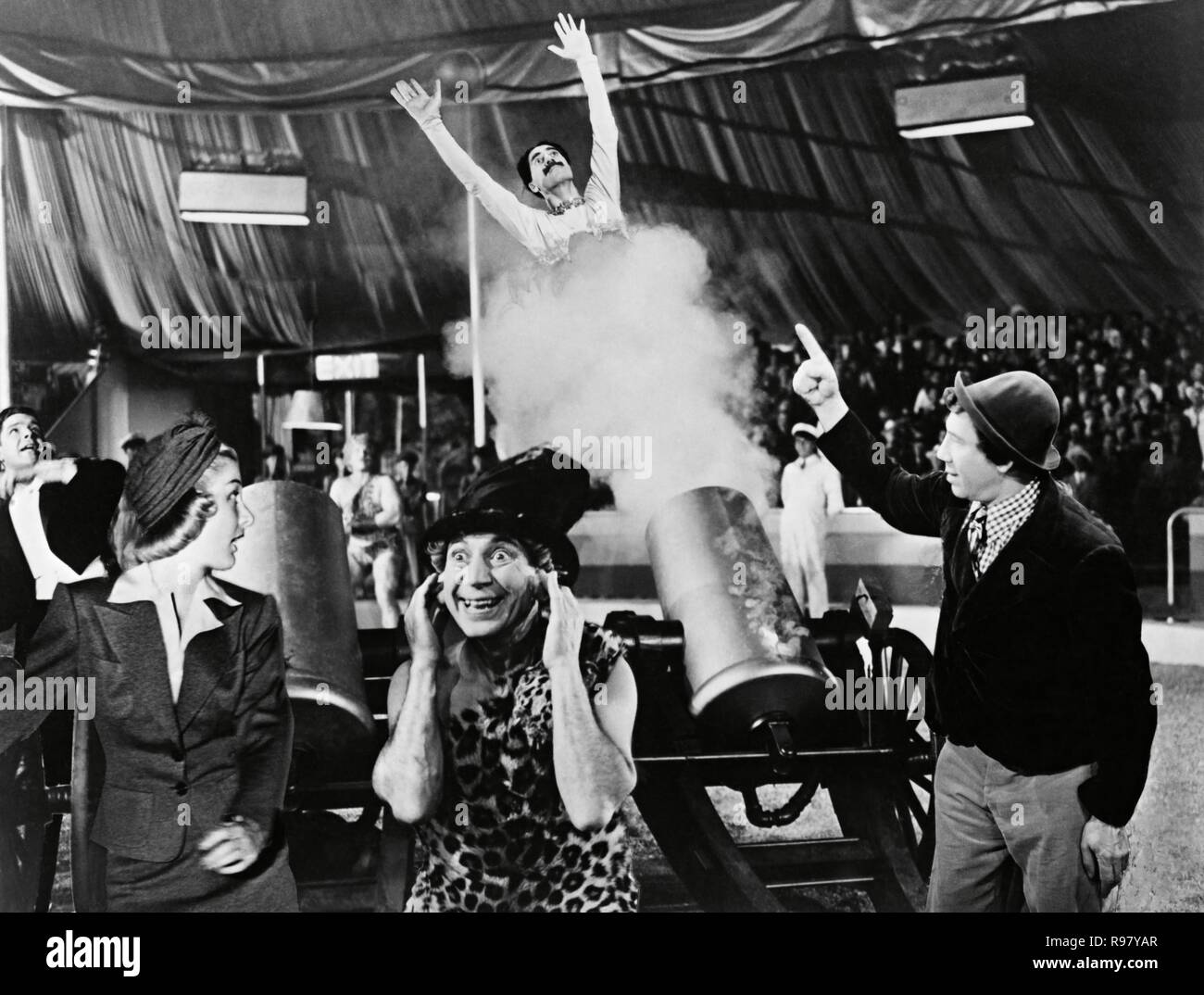 At the circus 1939 chico marx hi-res stock photography and images - Alamy